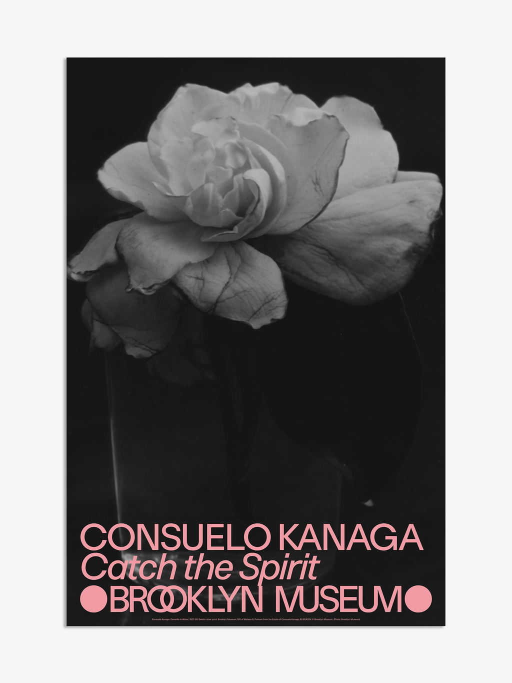 Camellia In Water Poster by Consuelo Kanaga – Brooklyn Museum